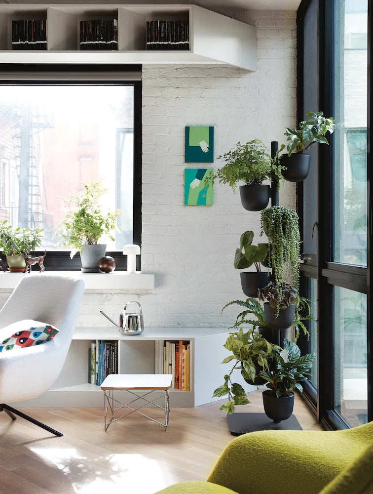 Story Planter – Elementos y Complementos